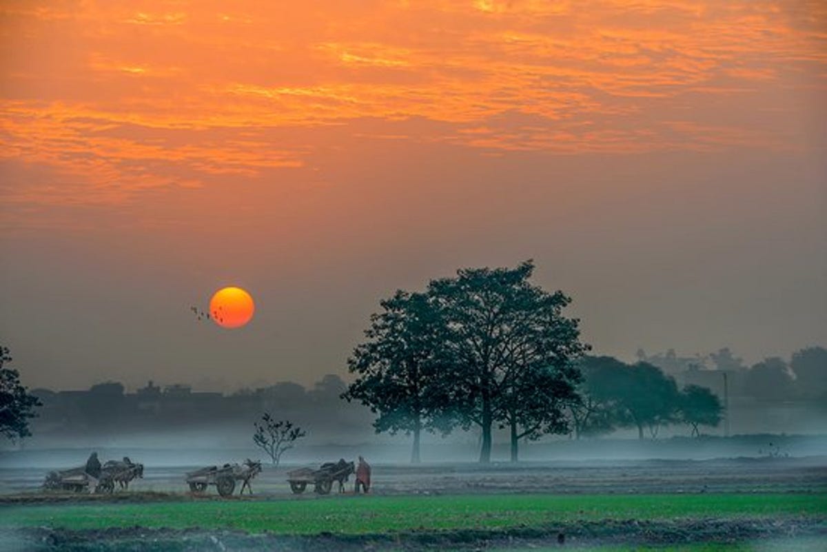 My Village-Life in Pakistan(Part 1) | by Muhammad Nasrullah Khan | Show ...
