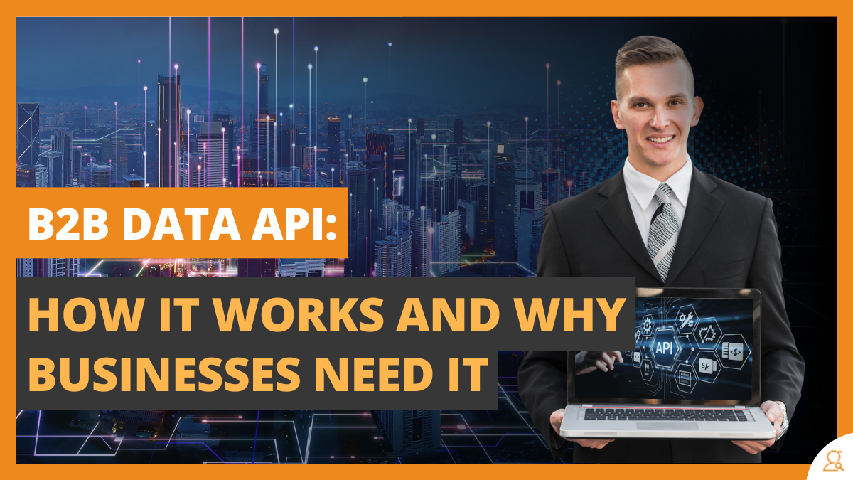 B2B Data API: How It Works and Why Businesses Need It | Medium