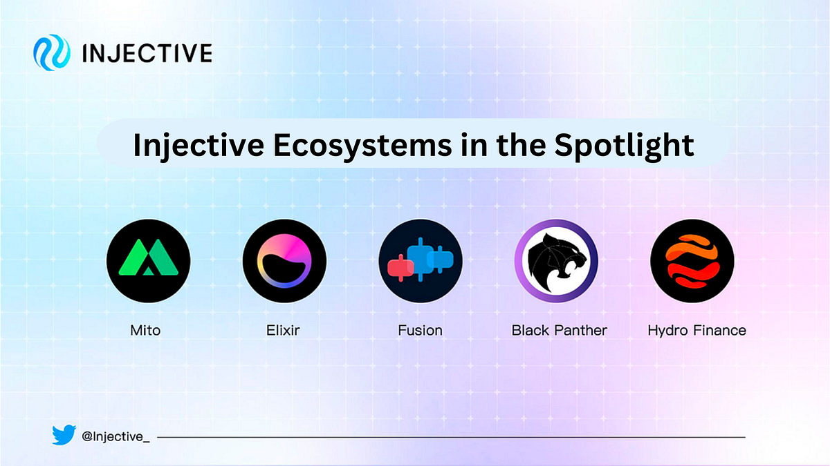 Injective Ecosystems in the Spotlight: Unveiling Groundbreaking ...