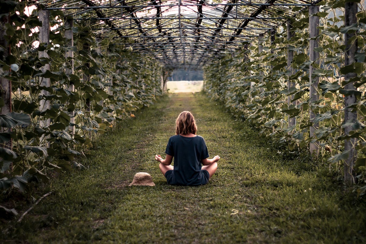 The War of Introverts. At least we get to choose whom we will… | by ...