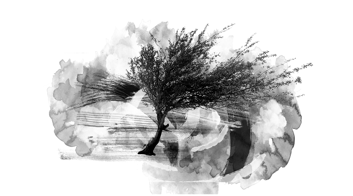 The Power of Resilience. Implementing failure in education | by Erika ...