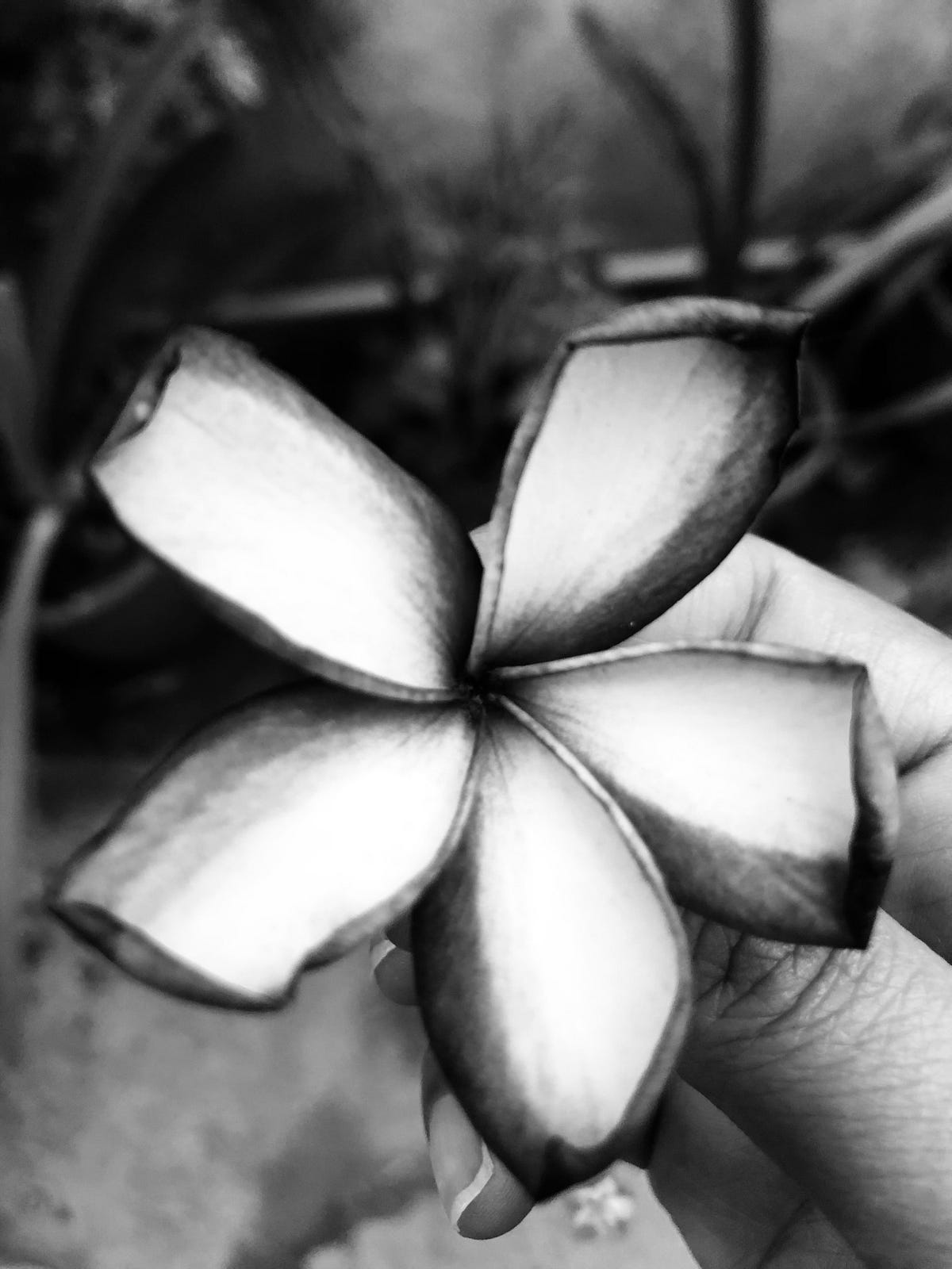 Frayed beyond the goal A little heart and deprived of soul Life comes ...