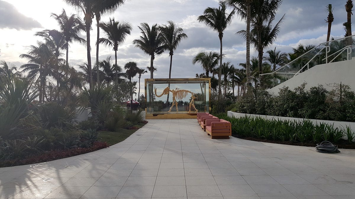Matt Reinhard Travel Series: Miami Punch | by Matt Reinhard | Whiskey ...