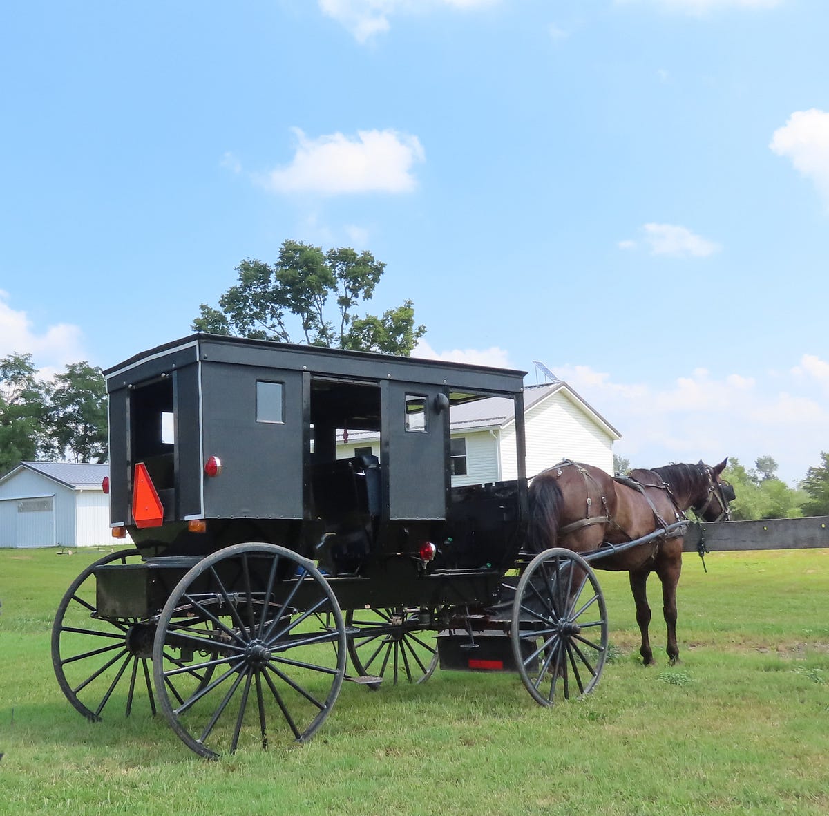 Amish Buggies at Work and Play. The View from Here 10-19–25 | by Dawn ...