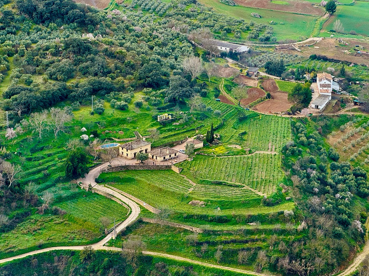 Langchain Output Parser 解析：功能、安裝與實際案例 By Sean Yeh 玩轉 Python：ai × Coding × 自動化 Python