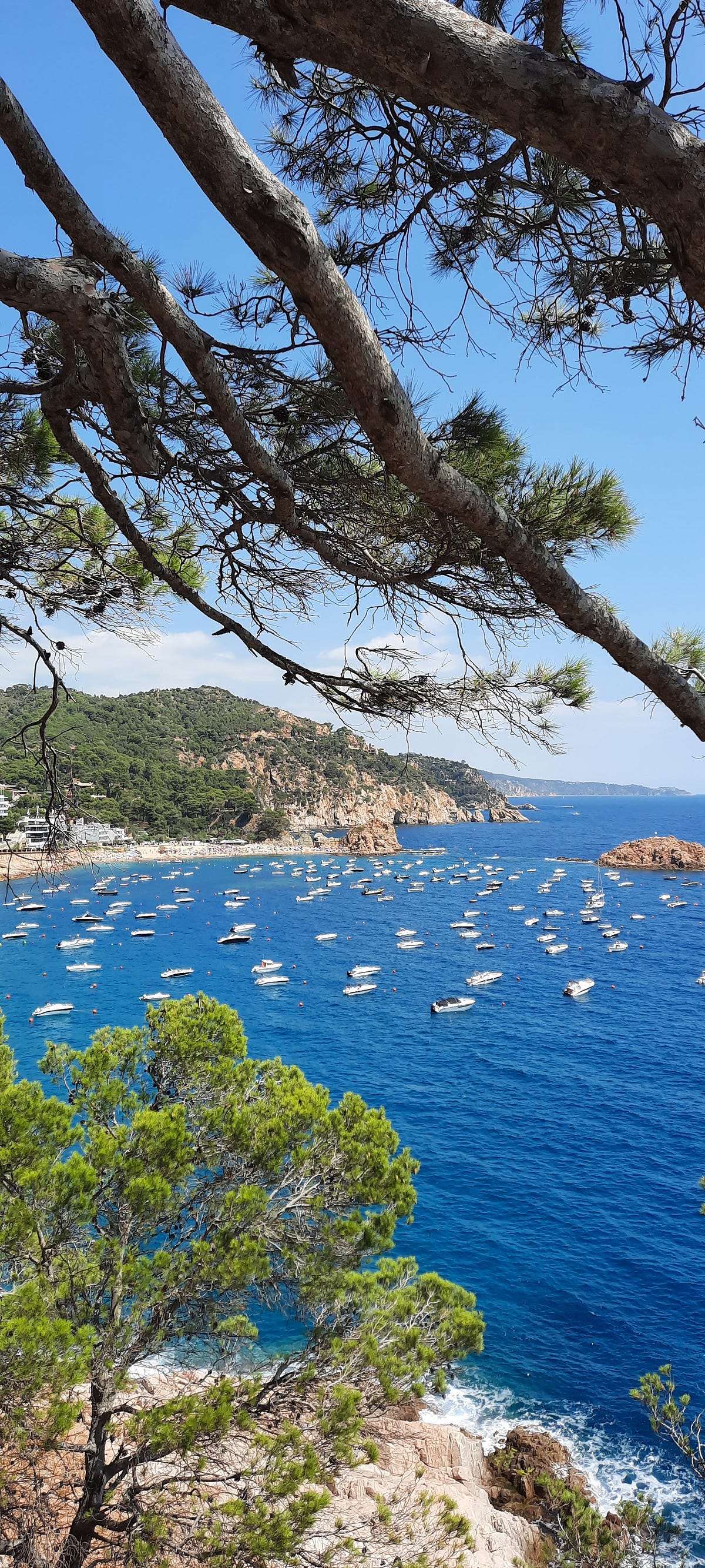 4 Amazing Countries to Visit at Least Once in Your Lifetime | by ...