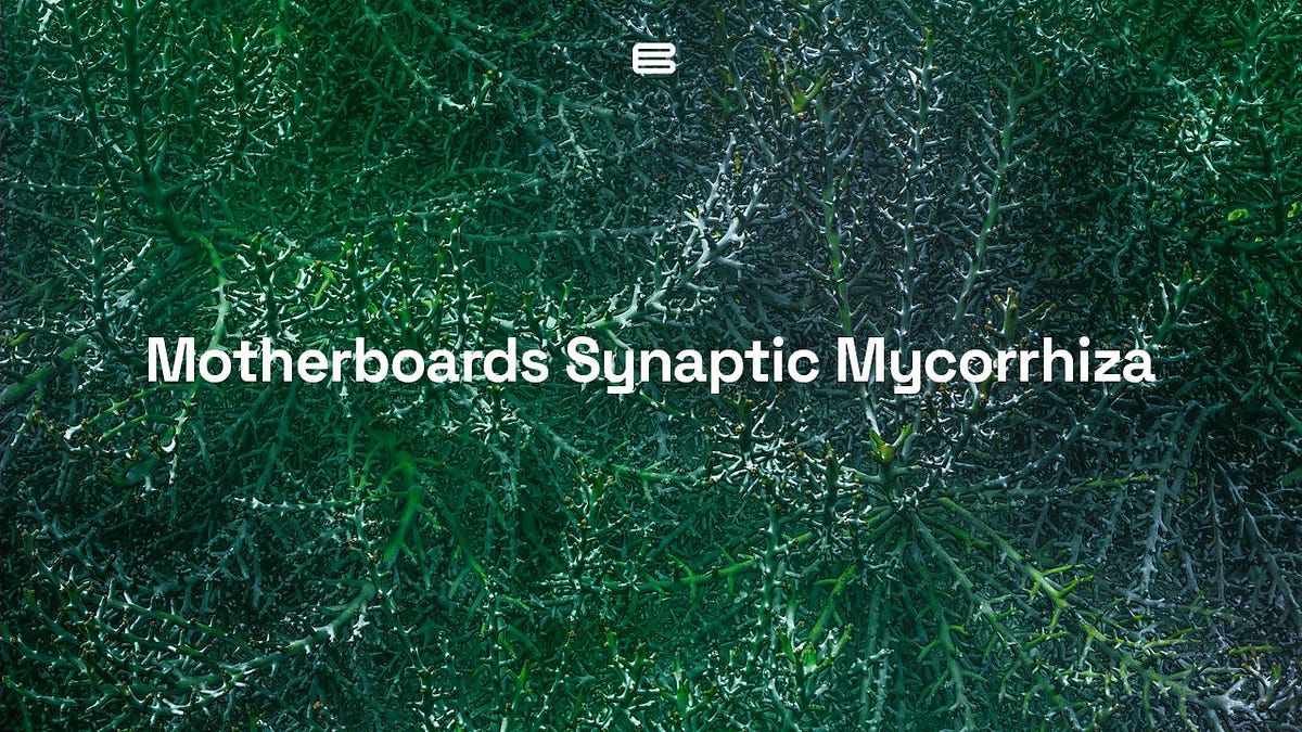 Motherboard’s synaptic mycorrhiza | Peeter Laurits | by Biotoopia ...