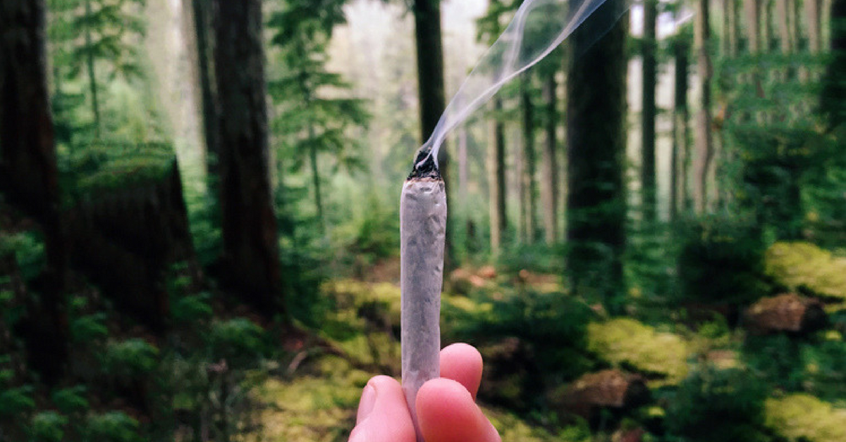 5 Things You Can Do to Celebrate 420 | by MJ Arsenal | Medium