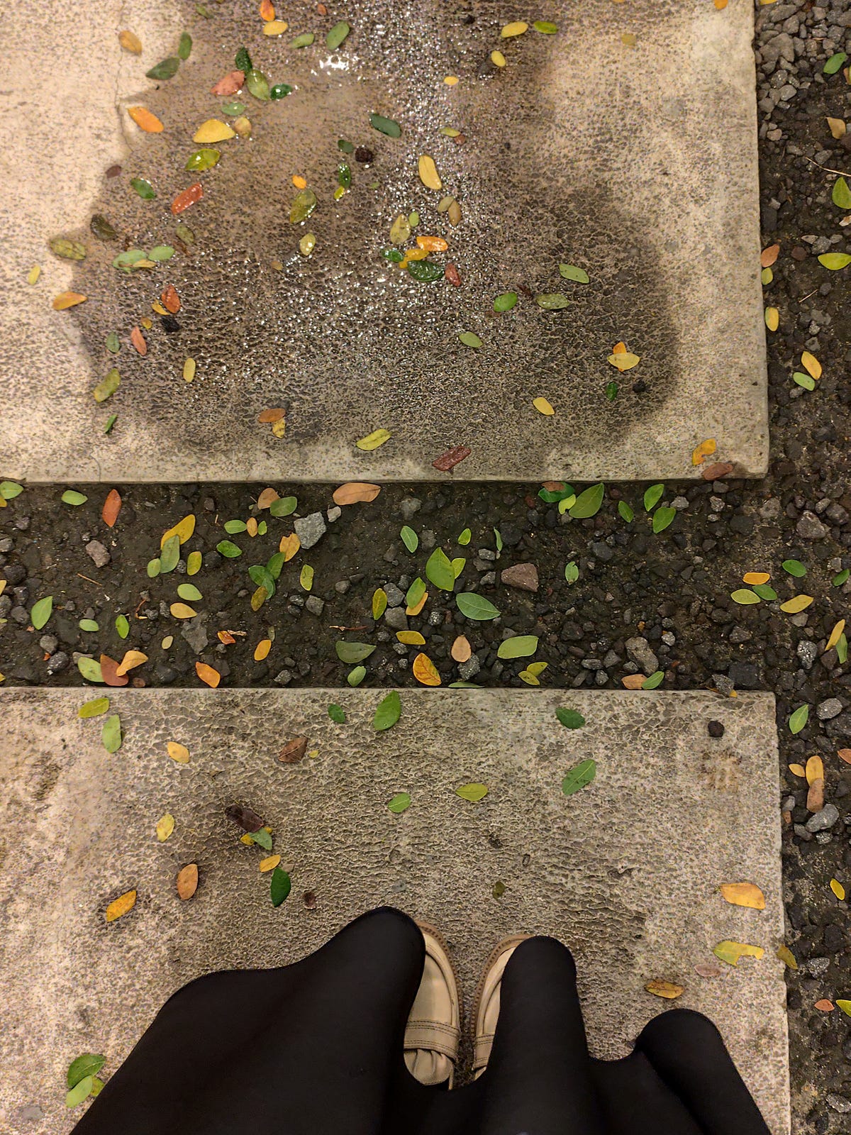 Filosofi Daun Jatuh - Monolog Semestaa - Medium