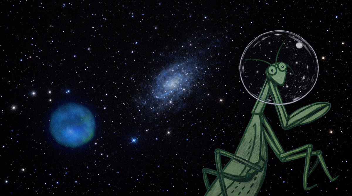 Nebulae, Clusters, Galaxies and a Praying Mantis | by Maria Ilse Dovale ...