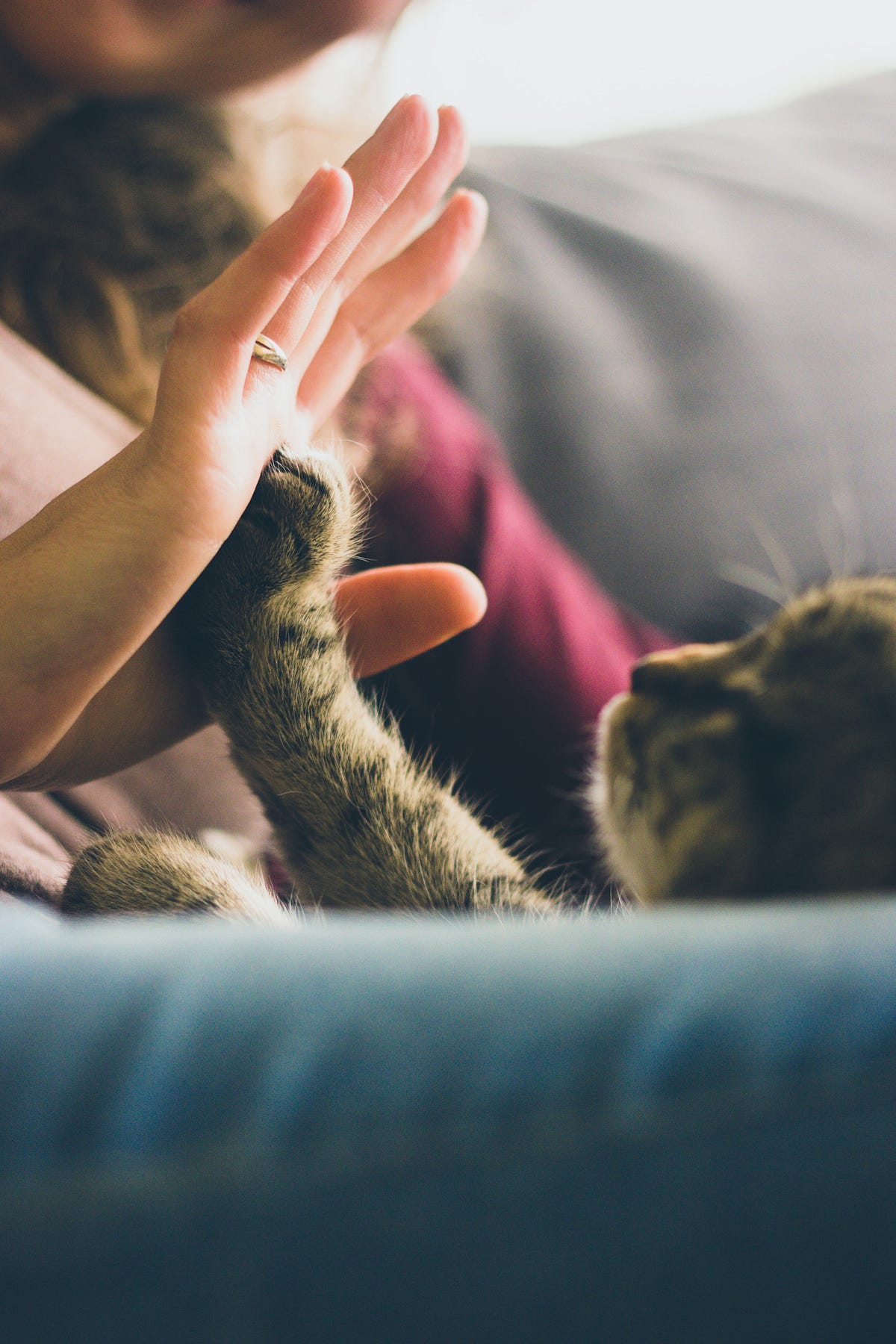 Embracing Kindness. This made my day… | by The blue diary | Nov, 2023 ...