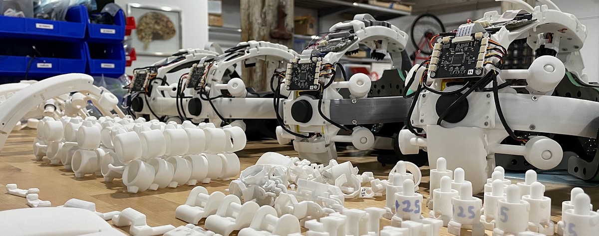Developing Galea: An open source tool at the intersection of VR and ...