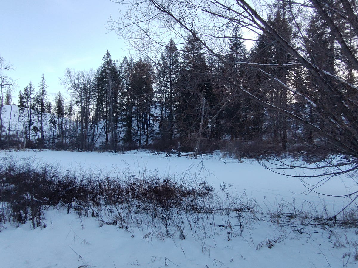 Tubs, Goats & Wacky Cake: The Chaos We Call Home Page 30 | by Selina ...