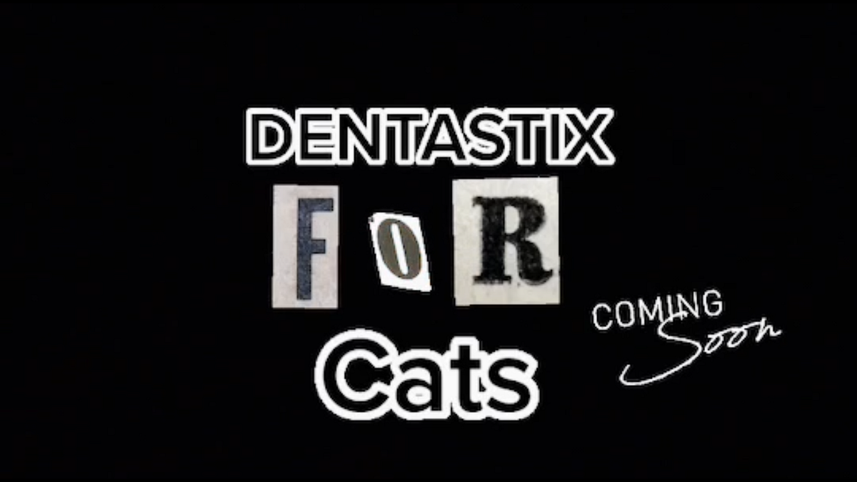 “Dentastix for Cats” — Honeycomb. Hi, we are Honeycomb! Join us in our ...