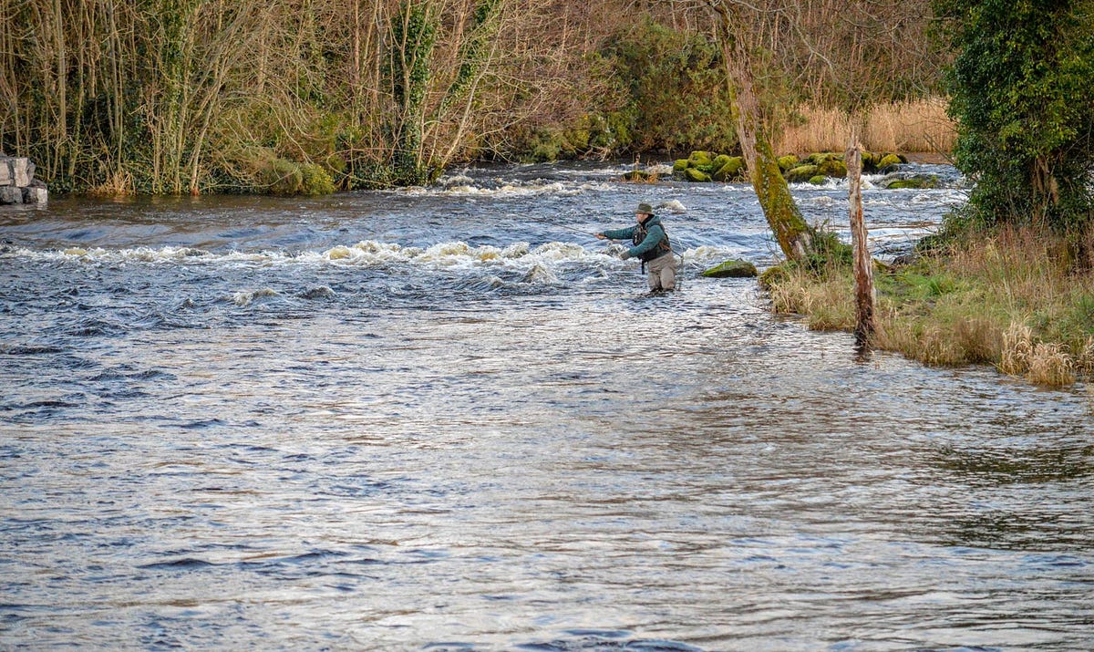 78 rivers open for salmon angling in 2018 | by Editor Ireland on the ...