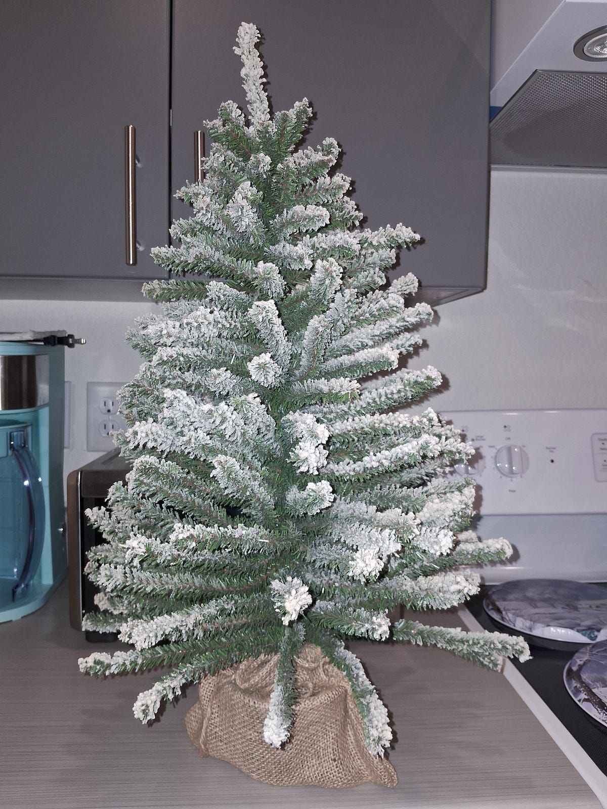 When Perry Came To Stay by Delaney Patterson | Boundless Journeys