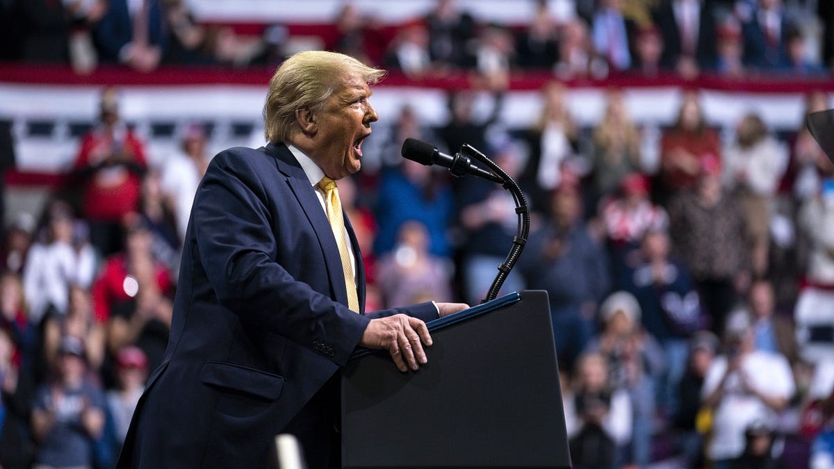 Yes, Trump Really is Going to Try to Steal the Election | by umair ...
