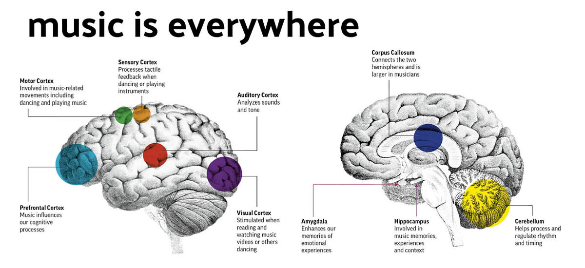 CogniTunes: Music for Cognitive Enhancement | by Akshat Agrawal | Medium
