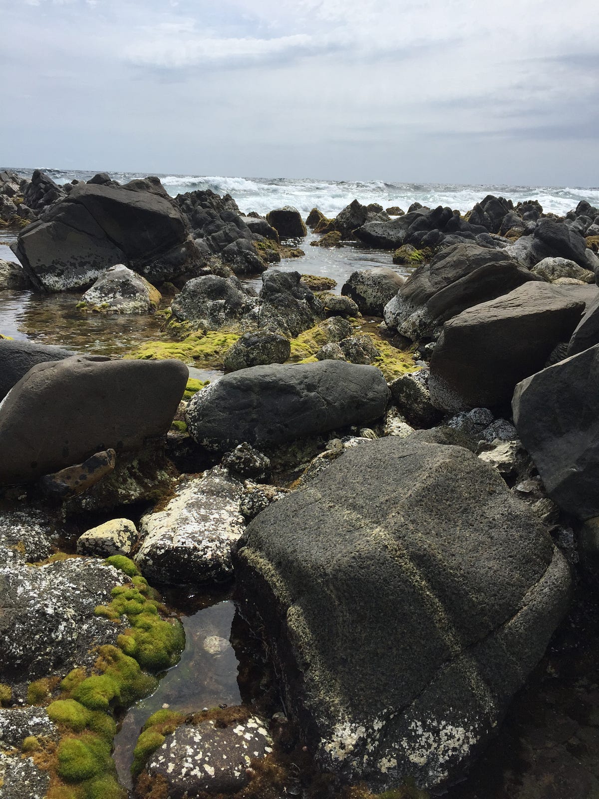 Courage vs. Confidence. On most any list of admired or… | by DC Krawiec ...