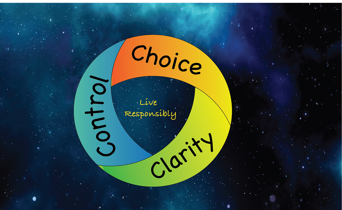Live Responsibly. Three key ingredients for living an… | by Sunil DESAI ...