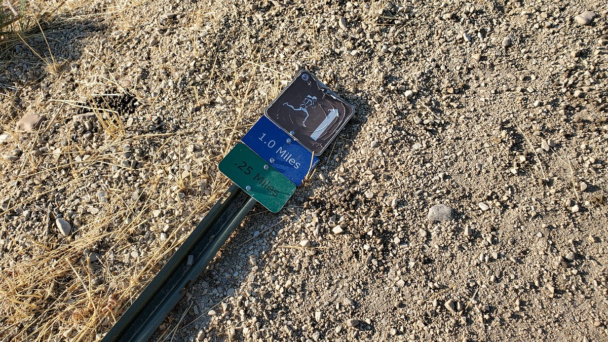 Running at Camp Williams. Camp Williams is a neat little National… | by ...