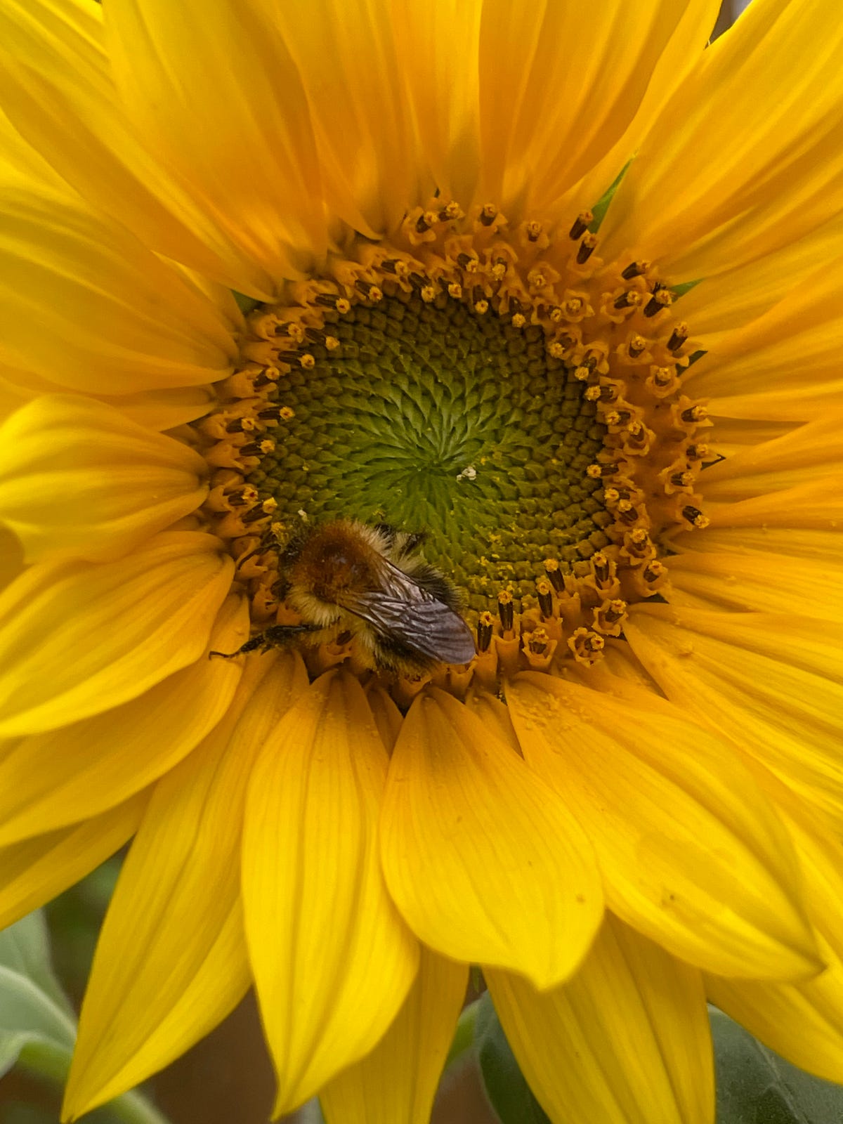 Happiness Is…. 30 things that bring me joy | by Claire Roberts ...