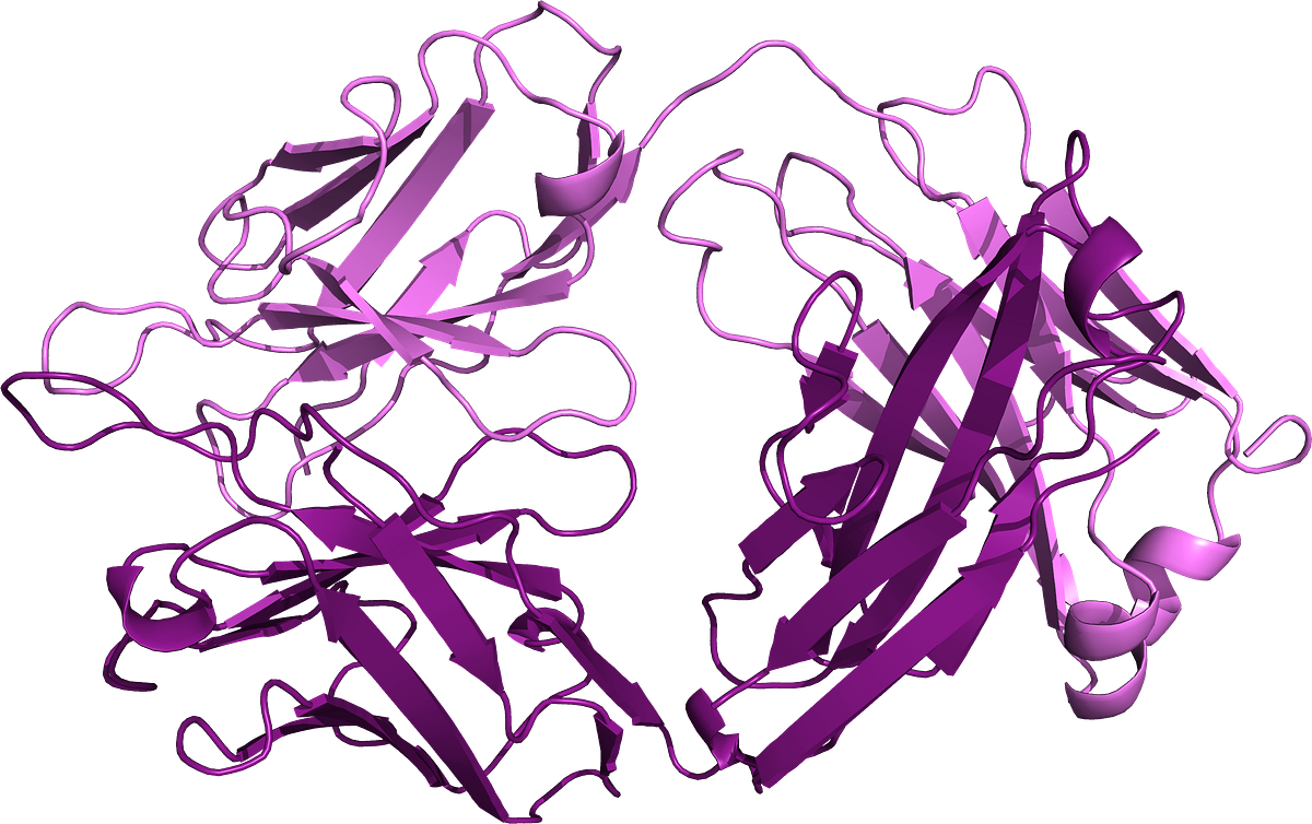 Predicting the molecular interactions of lecanemab, the new FDA ...