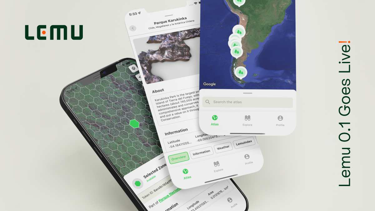 3 Reasons to Join Lemu | Medium
