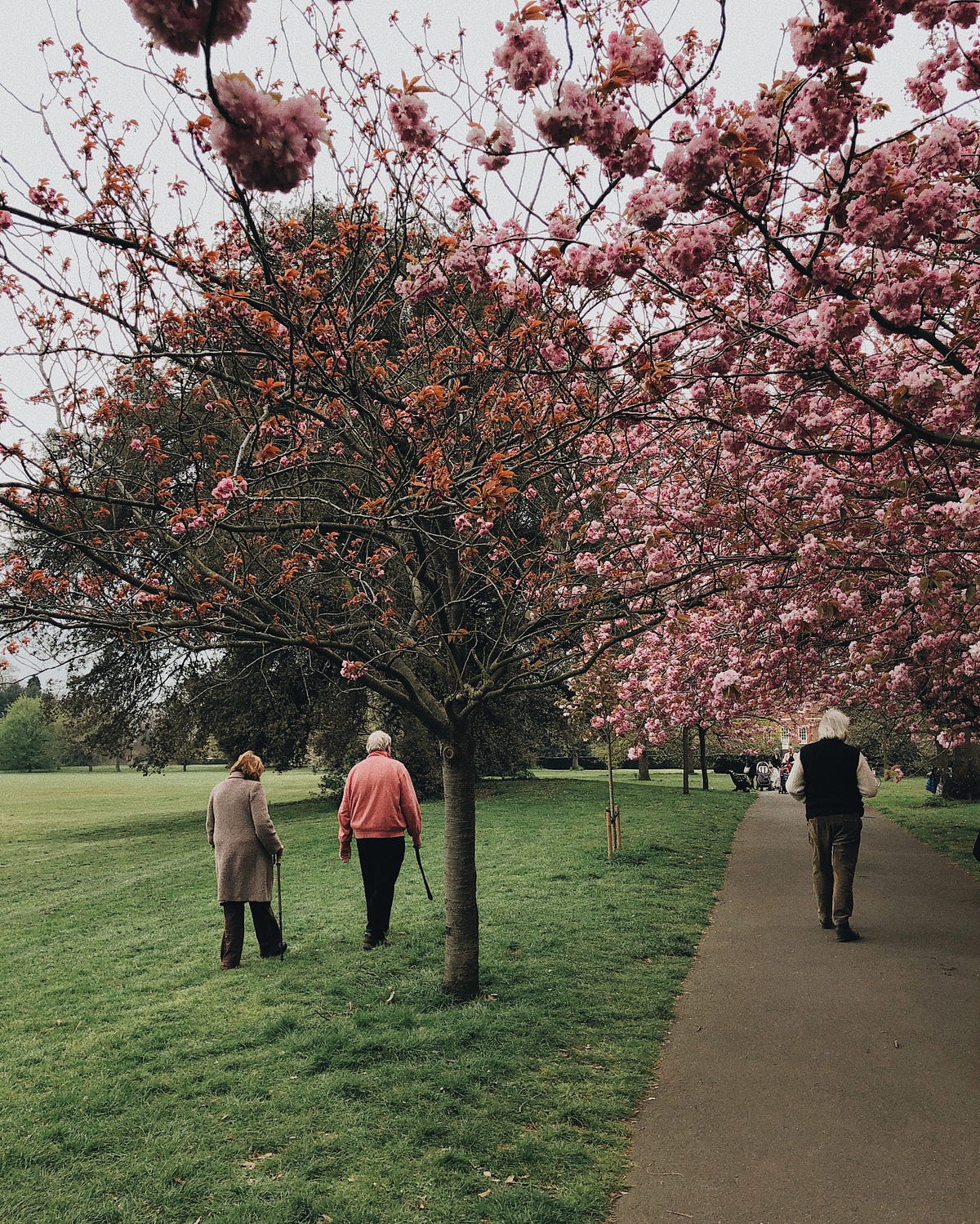 I walked 15,000+ steps every day for a week, and here is what happened ...