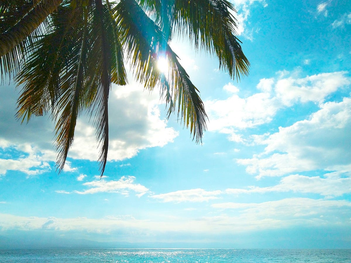 Discover Coastal Living the Benefits of ECR Koovathur’s Location | by ...