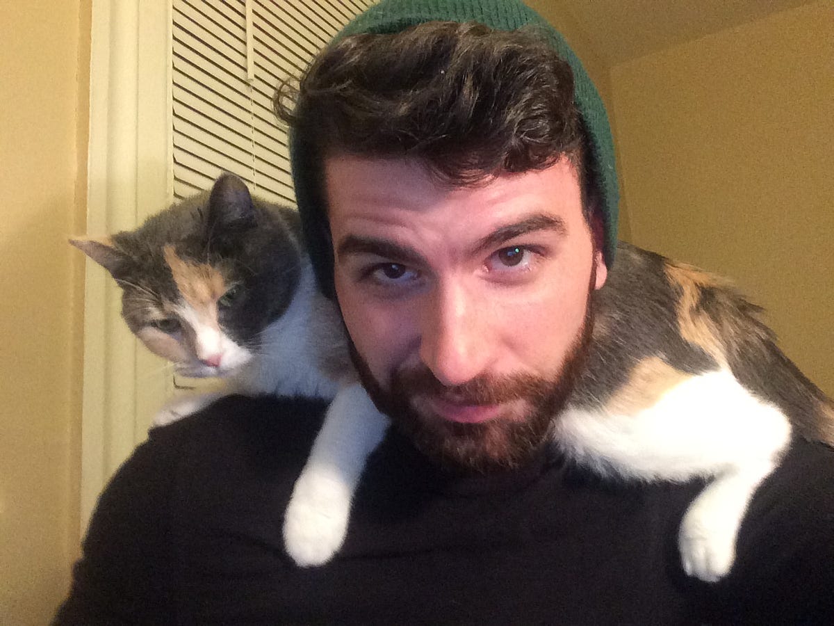 Haikus For Cat People. On Valentine’s Day, here are ten Haikus… | by ...