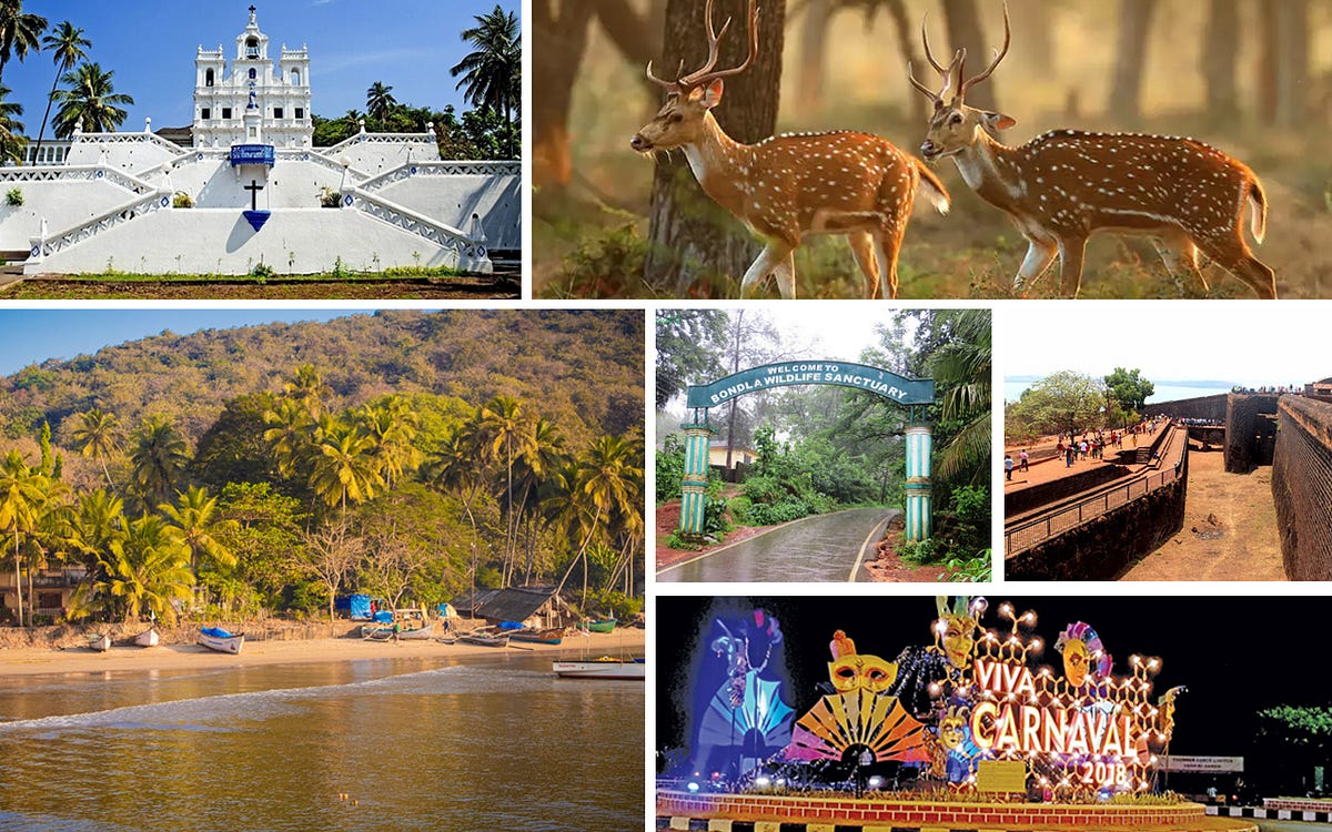 WHY GOA SHOULD BE A ‘MUST VISIT’ DESTINATION ON YOUR BUCKET LIST | by ...