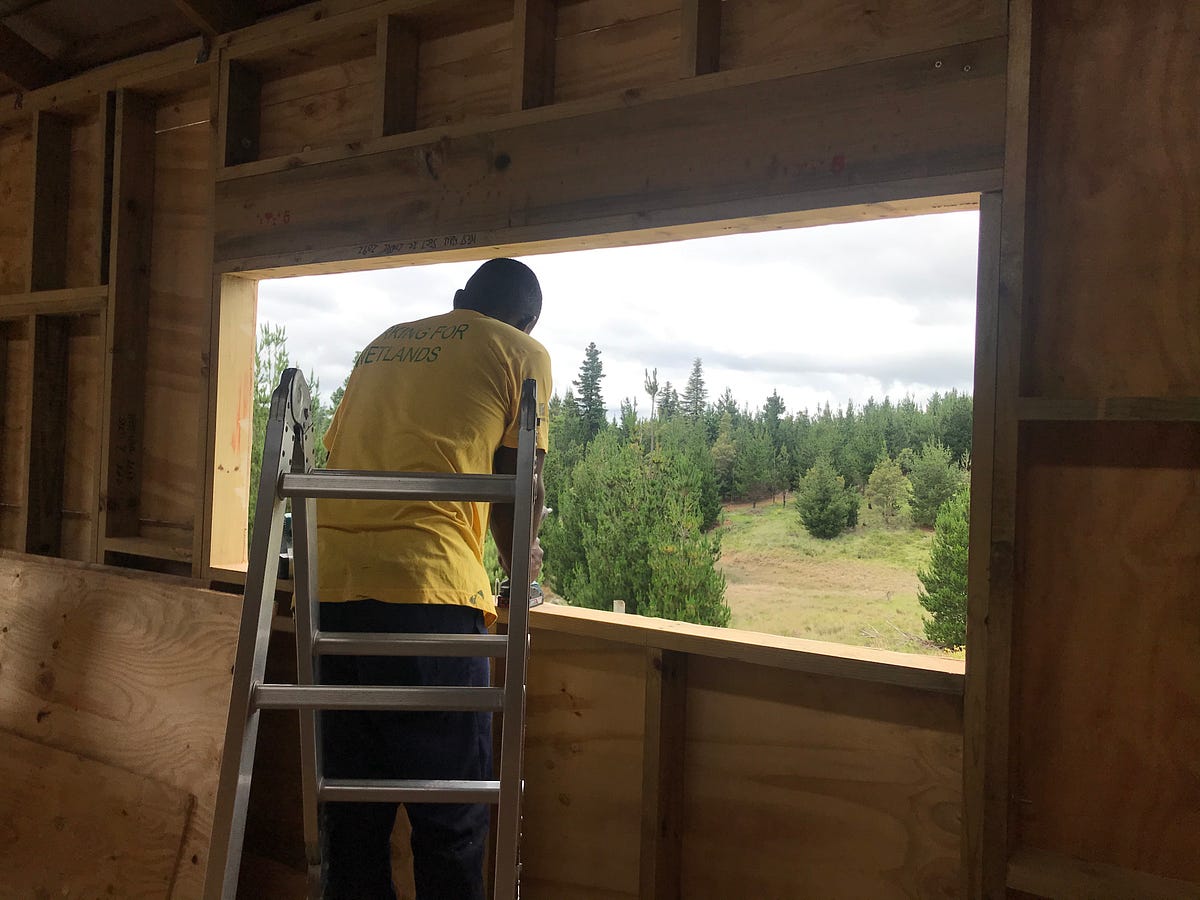 All the windows installed. We made some good progress on the house ...