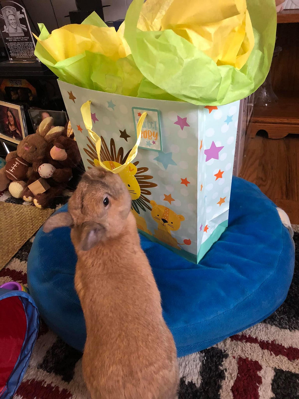 Hop-Level Management: Birthday Boss — 5 Leadership Lessons from 5 Years ...