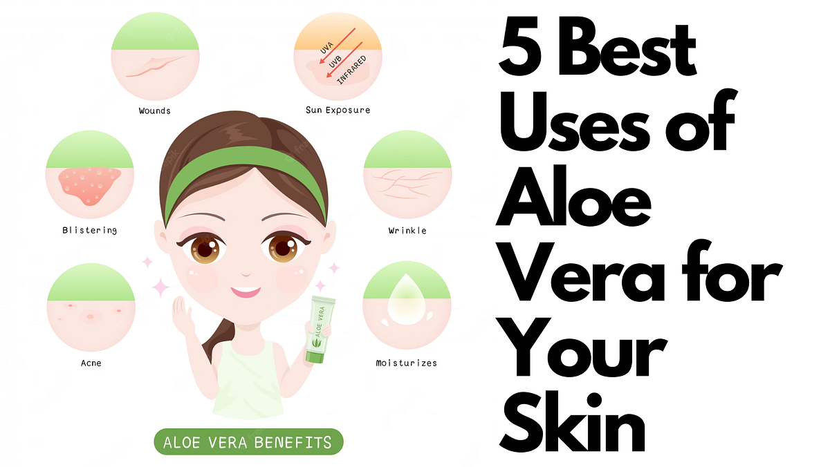 5 Best uses of Aloe Vera for your skin | by Sophie | Medium