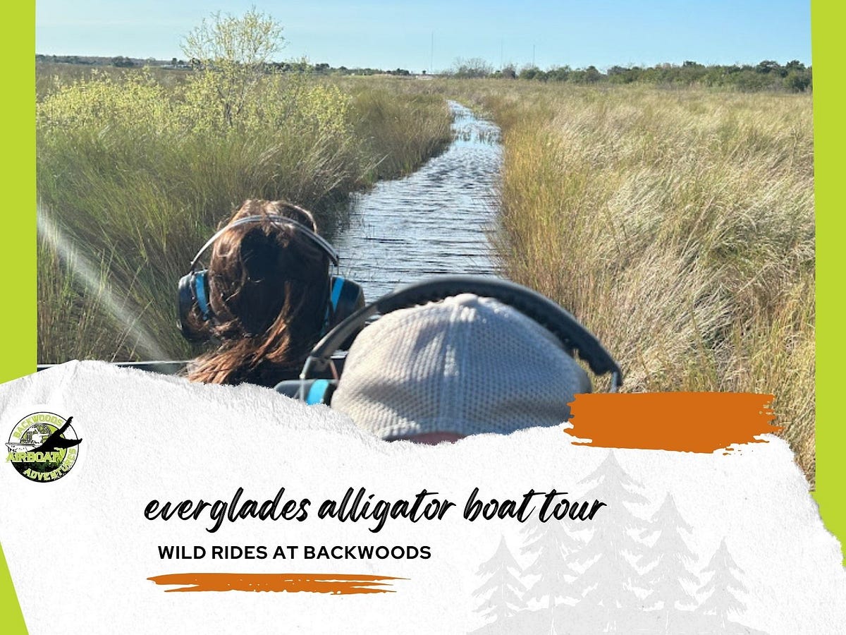 Uncover the Mysteries of the Everglades on an Exciting Airboat ...