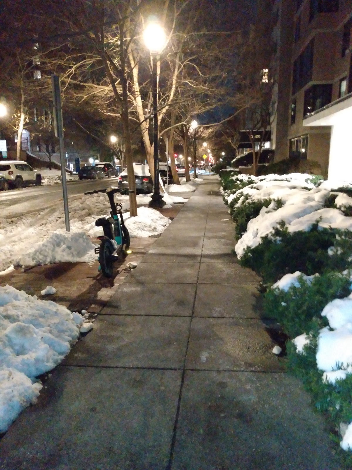 Redux Snow Haiku - Renée Elizabeth Winfield - Medium