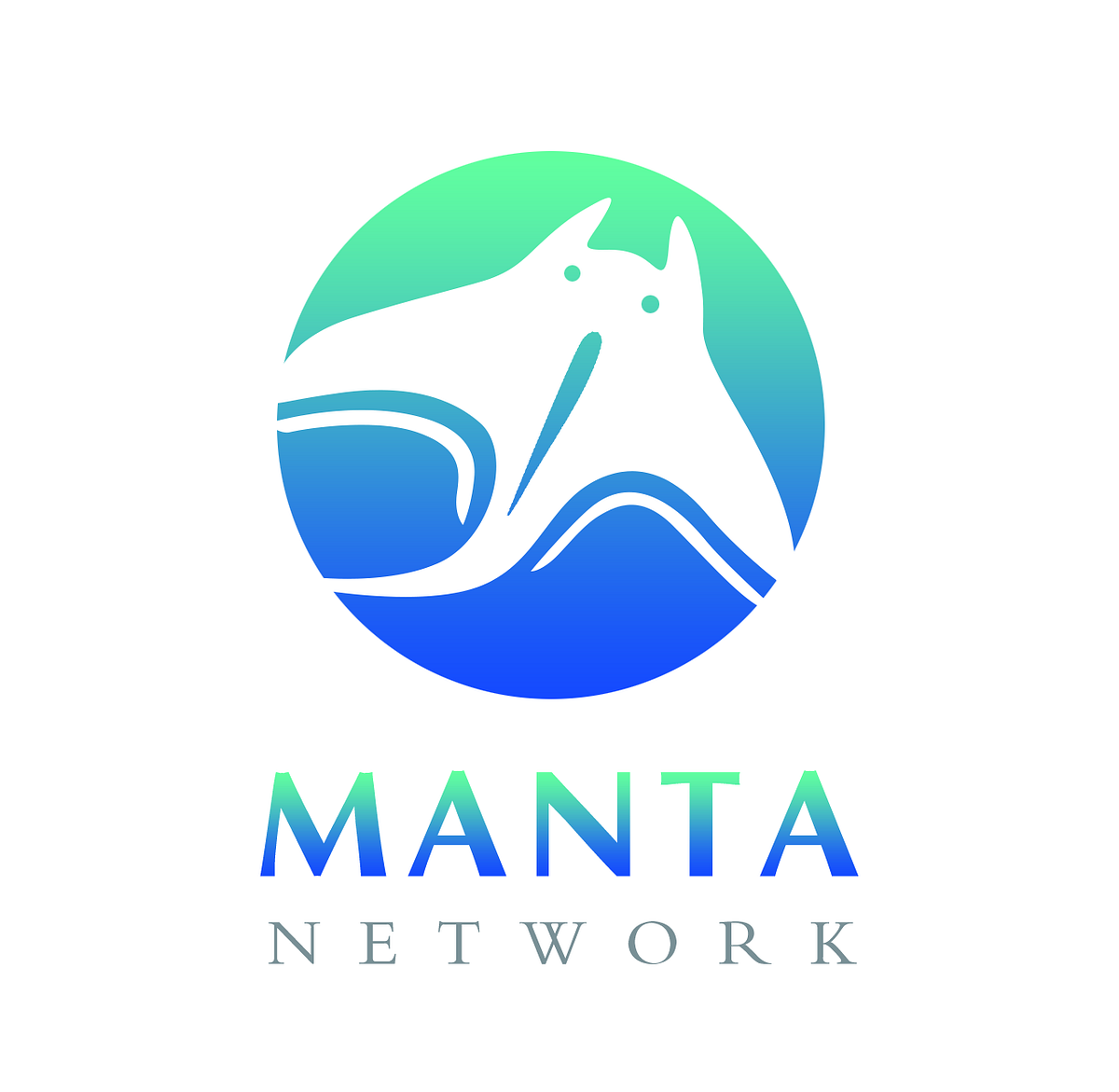 Manta Network Nedir?. Manta Network, tüm DeFi yığınına hizmet… | by ...