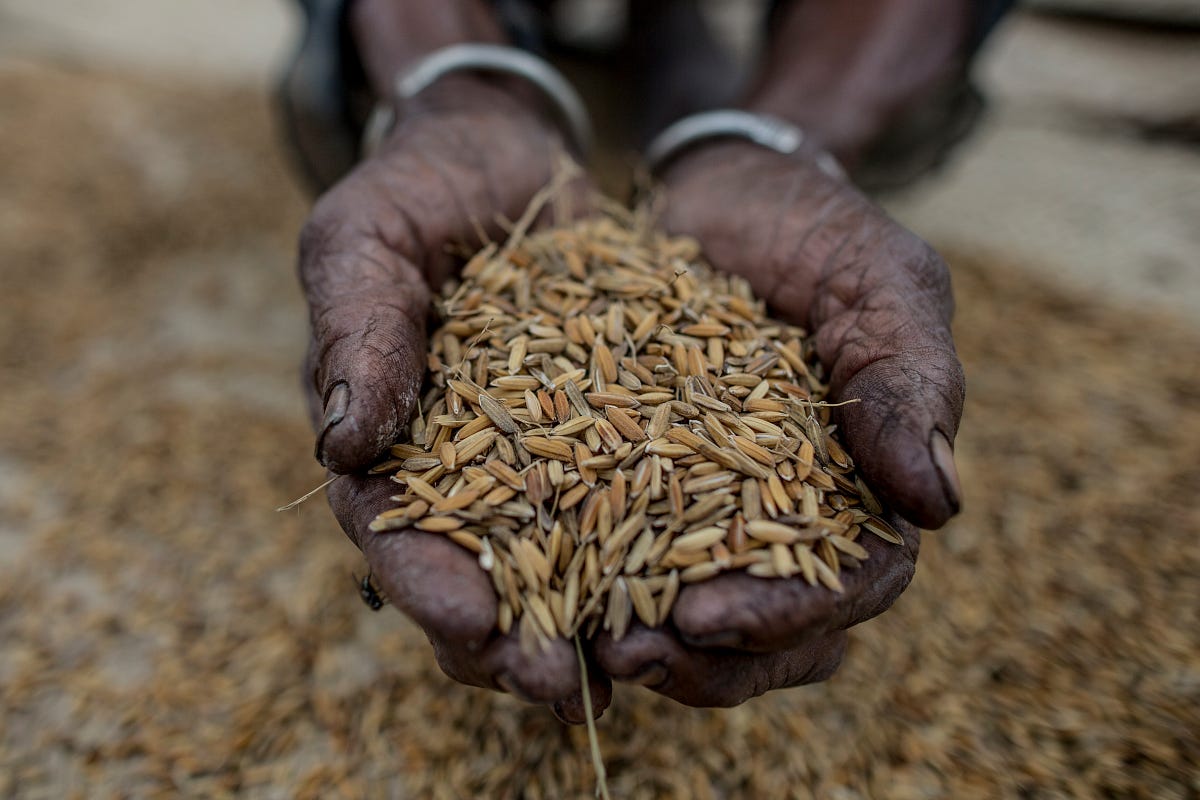 Food for thought: What we eat can help nature and the planet. | by WWF ...