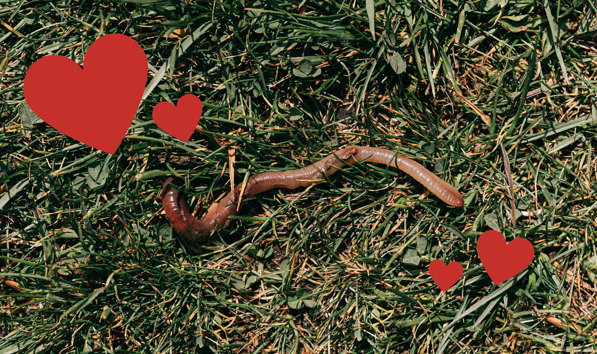 How To Maintain A Healthy Relationship When Your Partner Gets Turned ...