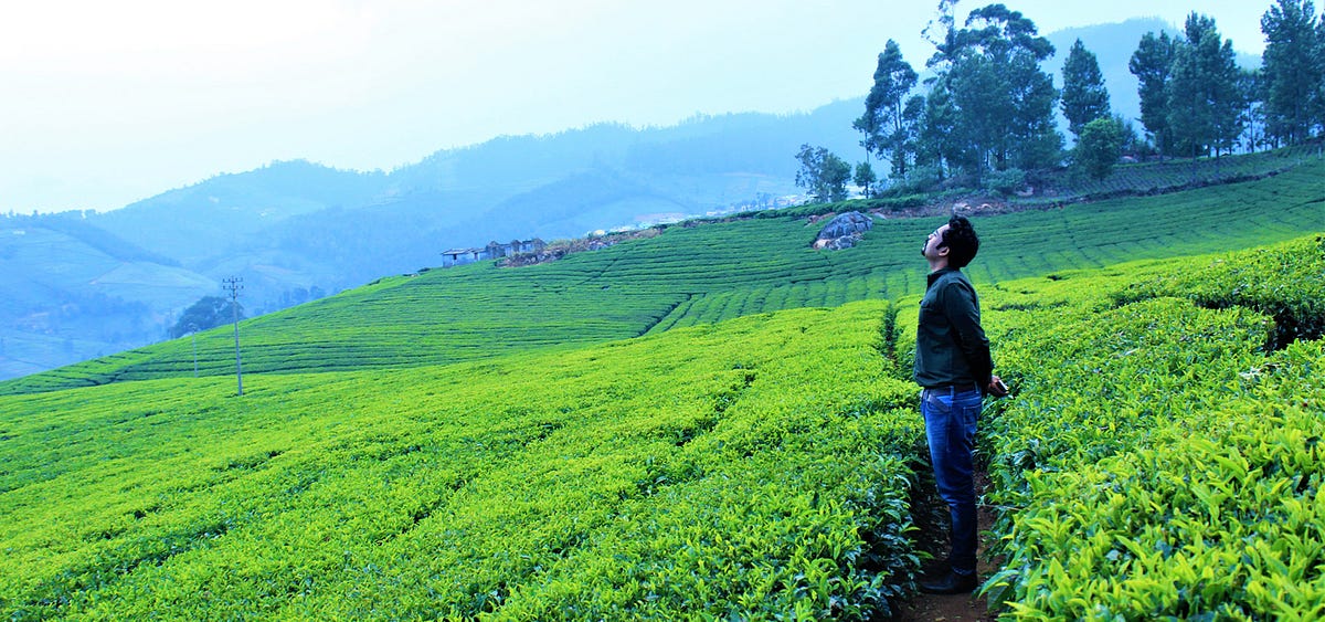 WELCOME TO INCREDIBLE KERALA. Kerala is blessed by nature. The… | by ...
