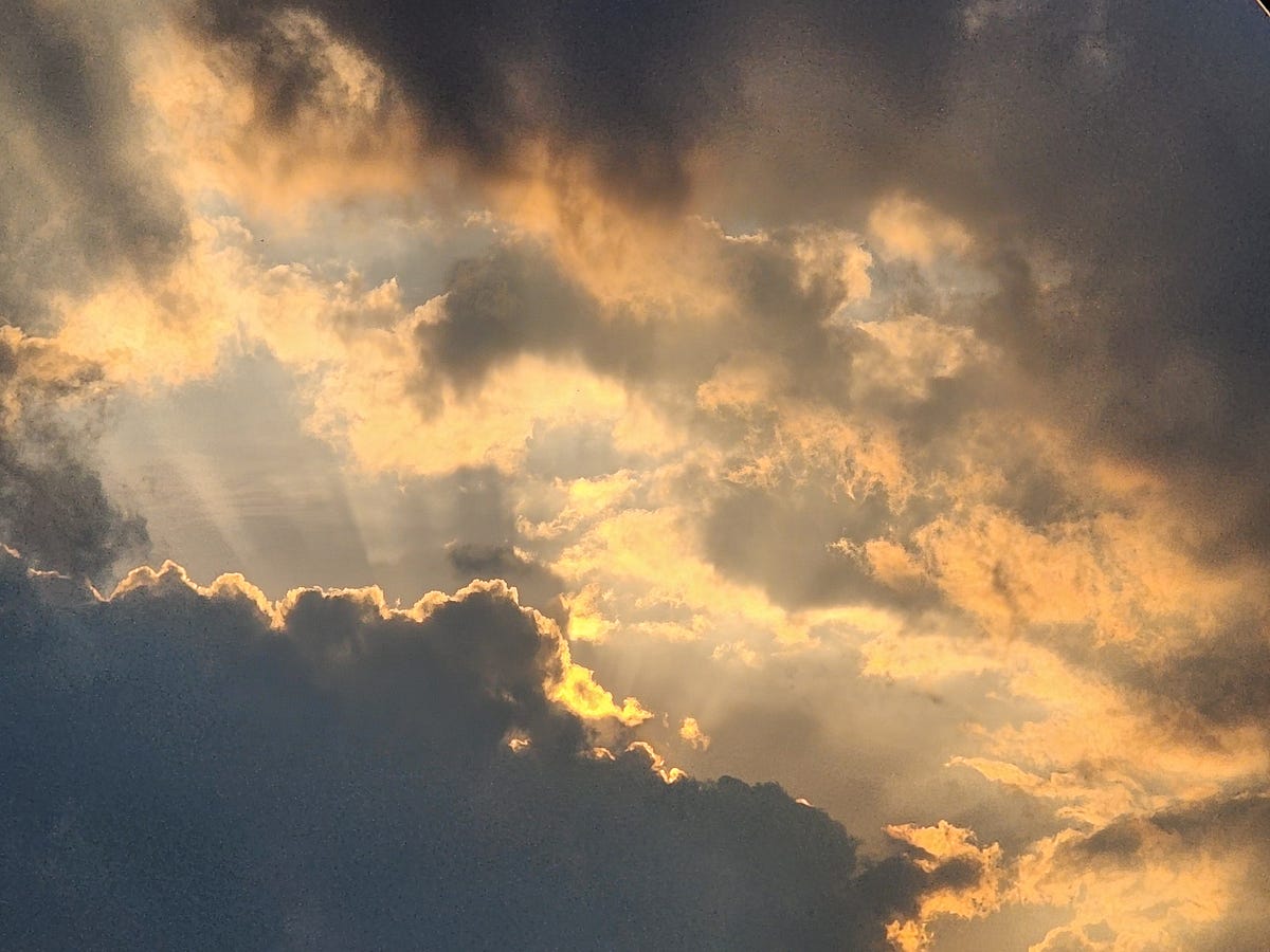 The Shrinking Relational Field of Difference | by Donna Forde | The ...