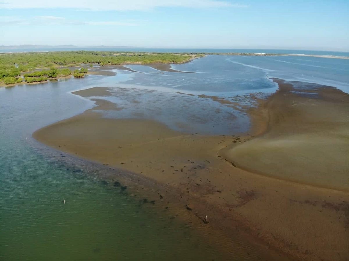 Developing a Decision-Support Model for Sediment Management in Highly ...