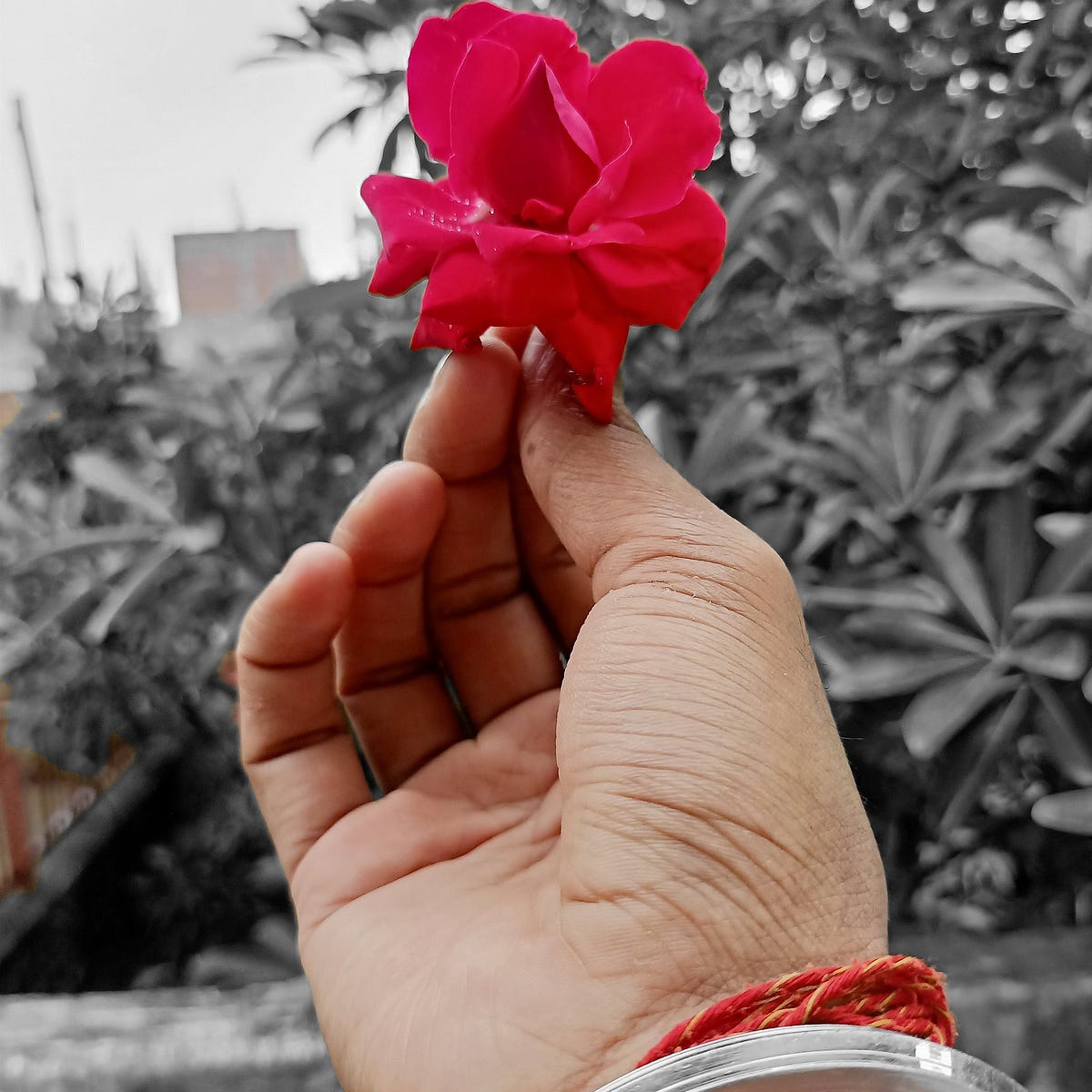 If there is no plan in life….!. That's great for real happiness 😊. | by Lav Yadav | Feb, 2024 ...