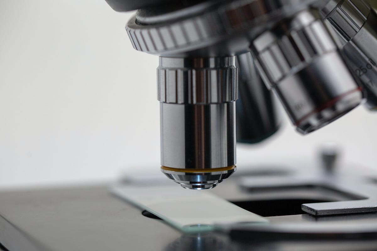 Discovering Yamanaka Factors — An Exploration of Yamanaka’s Nobel Prize ...