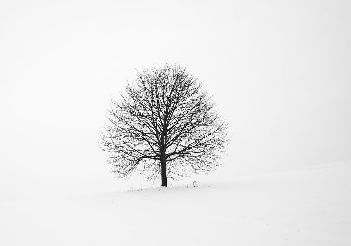The Forbidden Tree. The story of forbidden tree or… | by Saba Nadeem ...