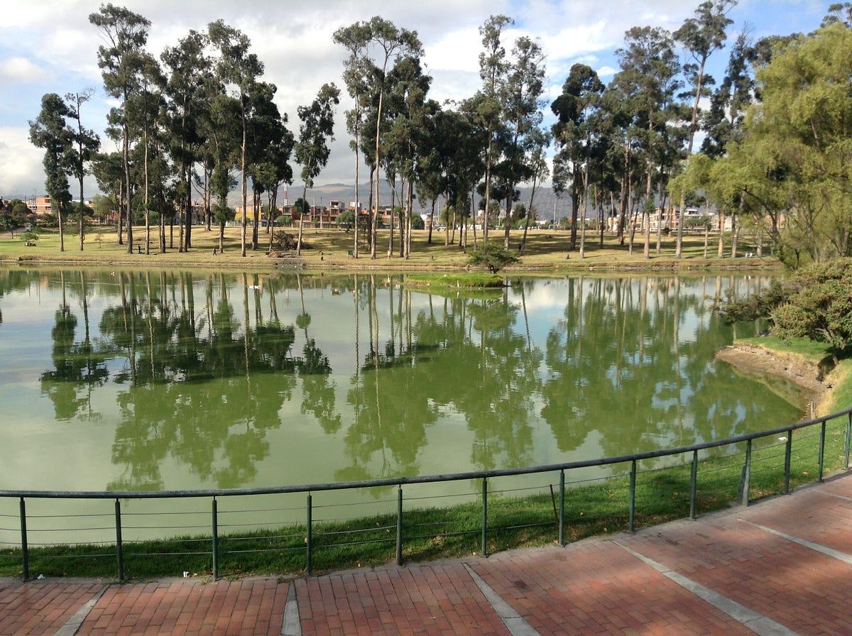 TIMIZA. La historia del parque Timiza gira en… | by Angé Grana2 | Medium