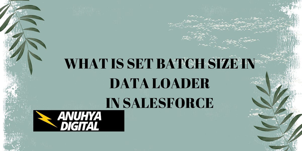 What Is Set Batch Size In Data Loader In Salesforce By Anuhya Digital Medium