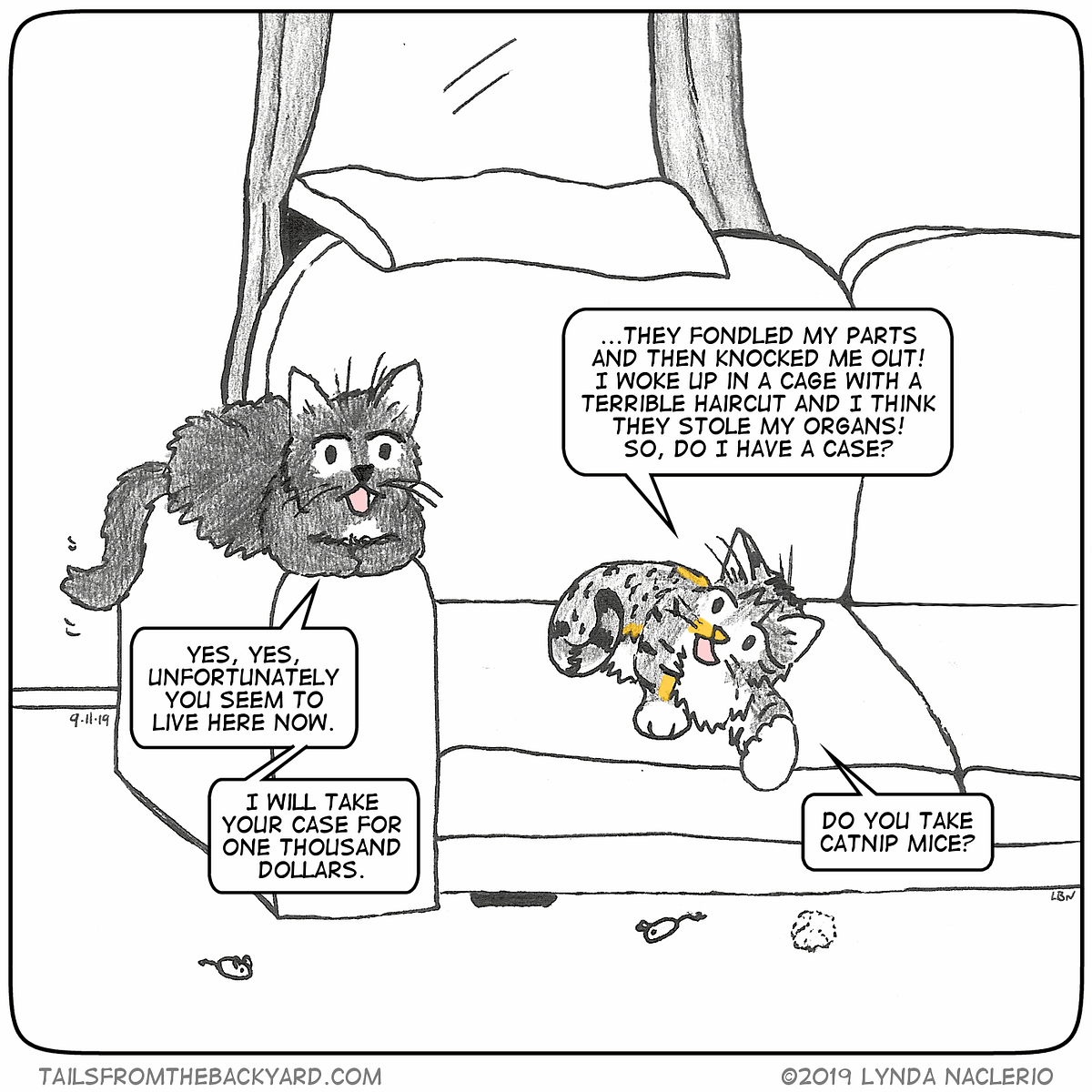 Does She Have A Case Https tailsfromthebackyard 2019 09 By does-she-have-a-case-https-tailsfromthebackyard-2019-09-by
