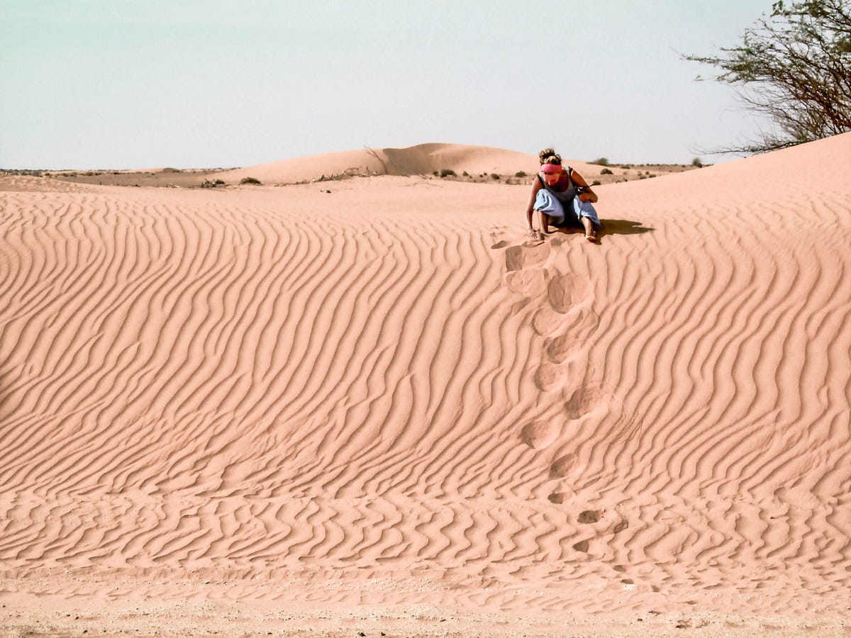 Staring down the Sahara. Transitions Come When We’re Ready | by Freddi ...